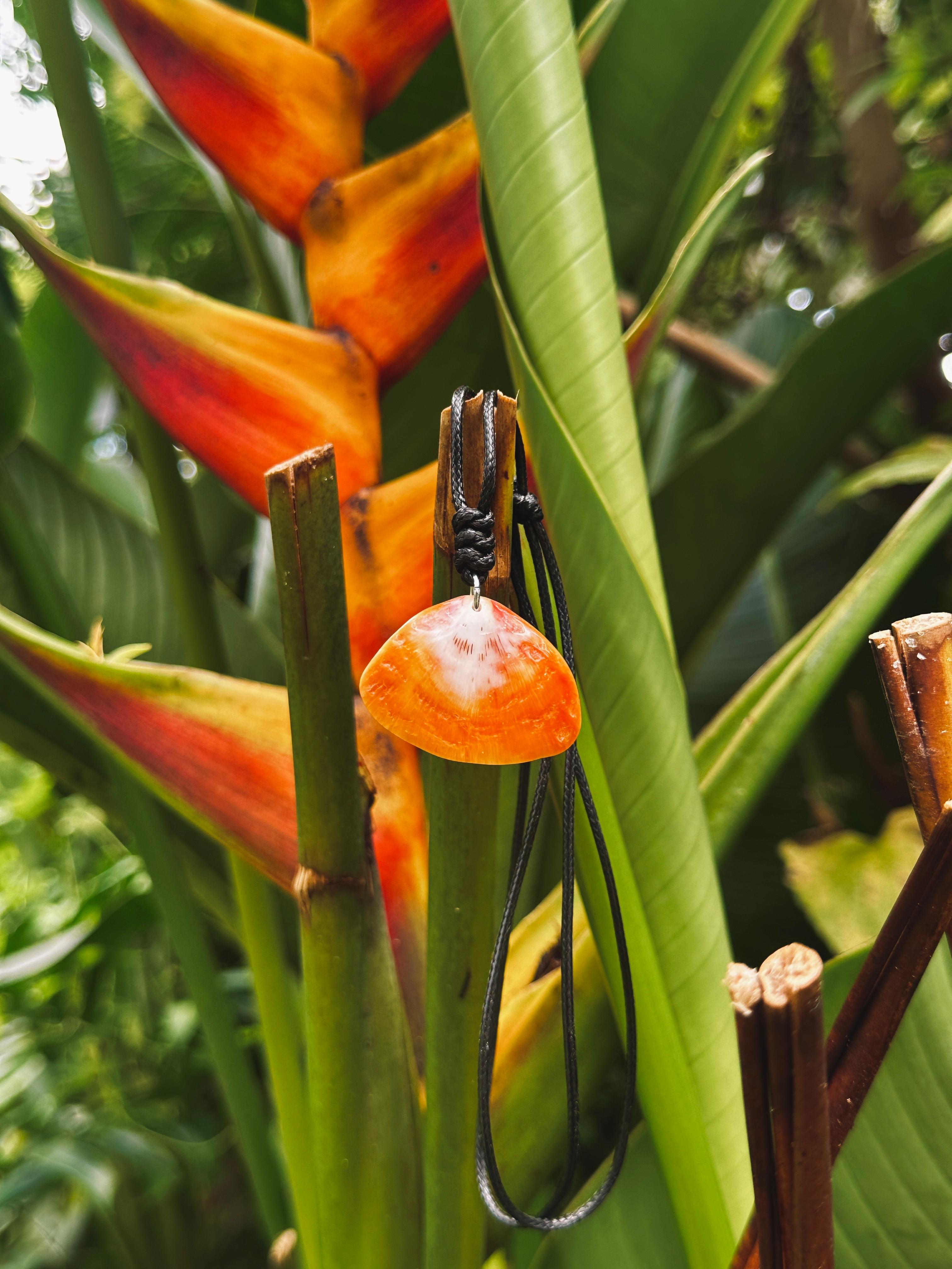 Spondy Necklace 9 – Bonitu Basula